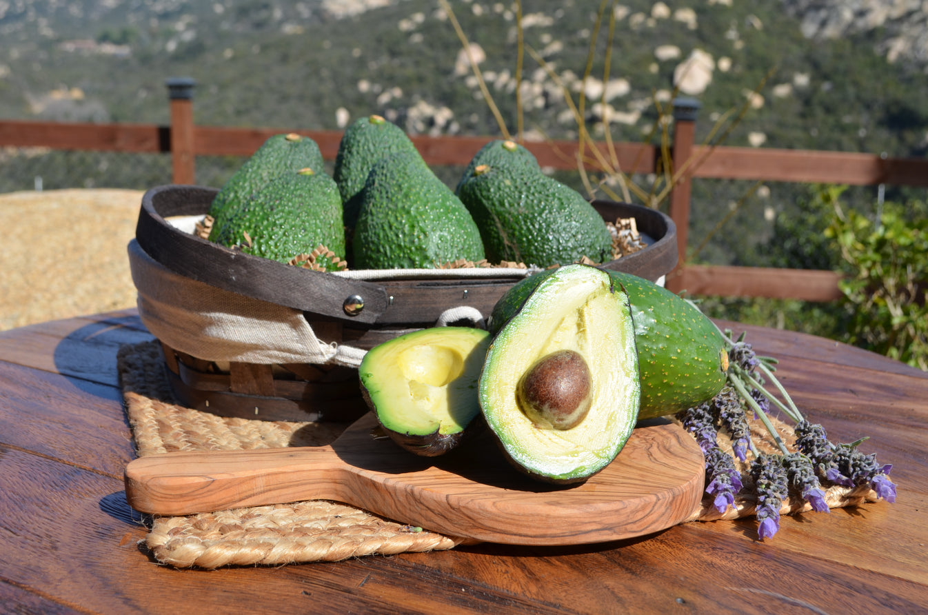 Box of 6 Seasonal Avocados – Avocado Monthly