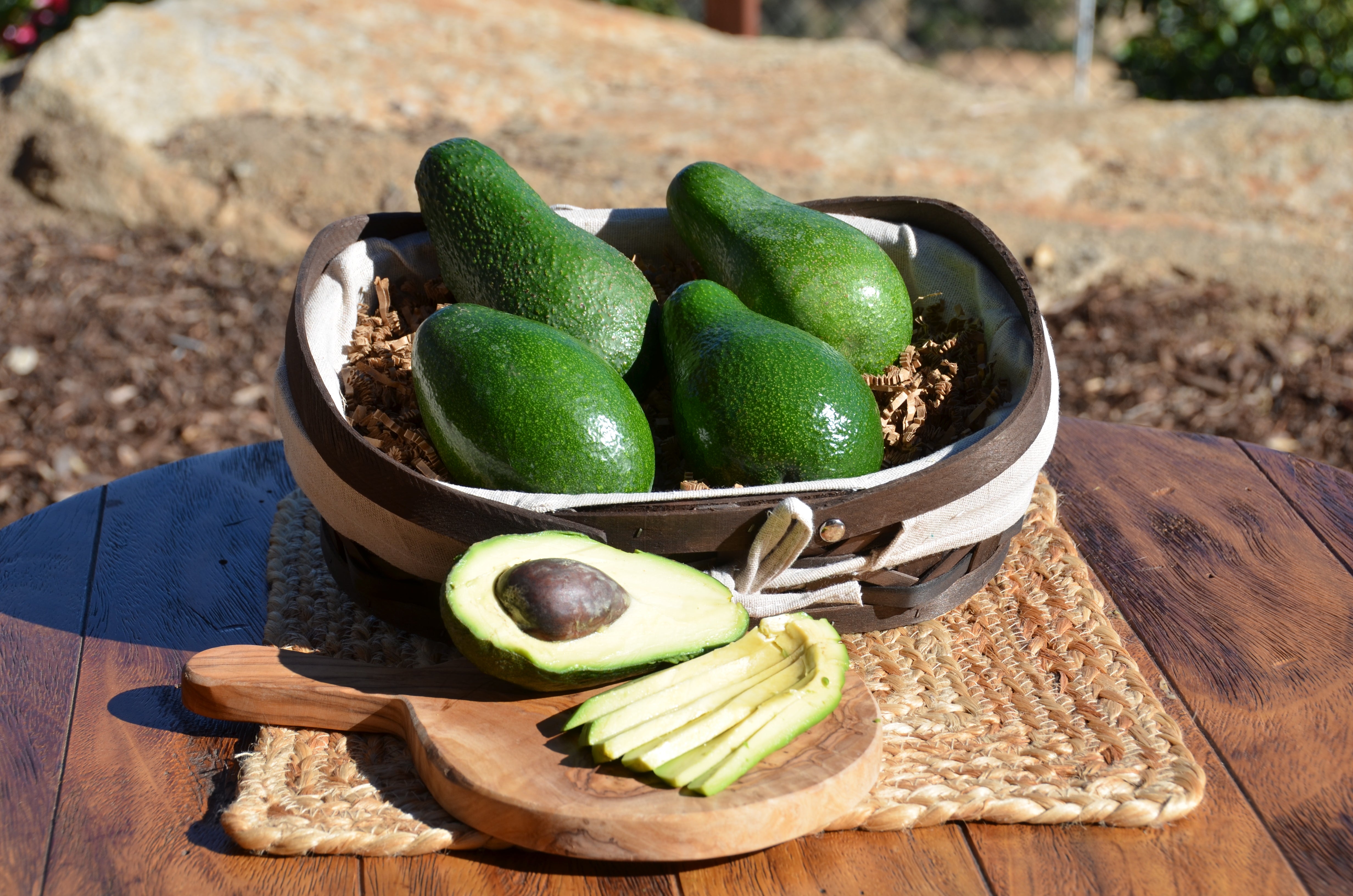 Box of 4 Seasonal Avocados – Avocado Monthly