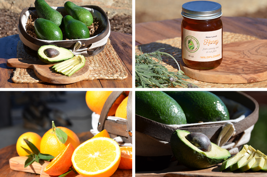 Shop – Avocado Monthly